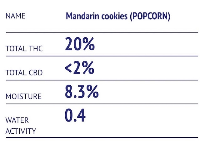 Mandarin Cookies a Highly Recommended Hybrid Strain – Ganja House